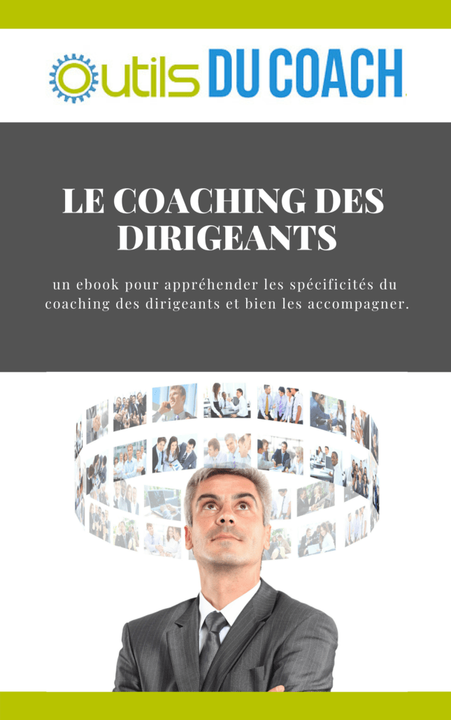 Le coaching des dirigeants - Un Ebook Outils du Coach