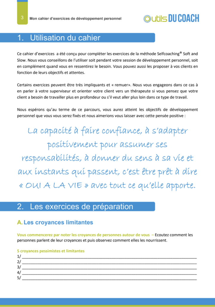 Mon cahier d'exercices de développement personnel - Un Ebook Outils du ...