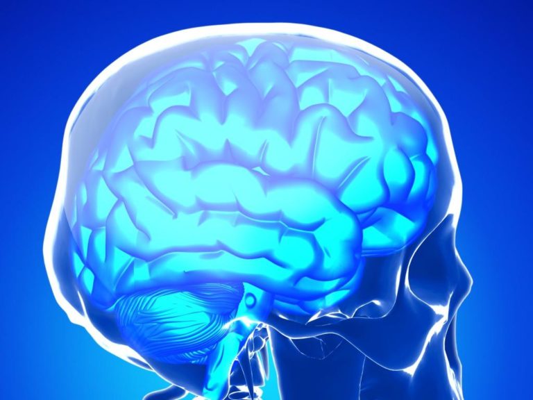 Le Neuro-Coaching ou l’entrainement mental - Outils du Coach