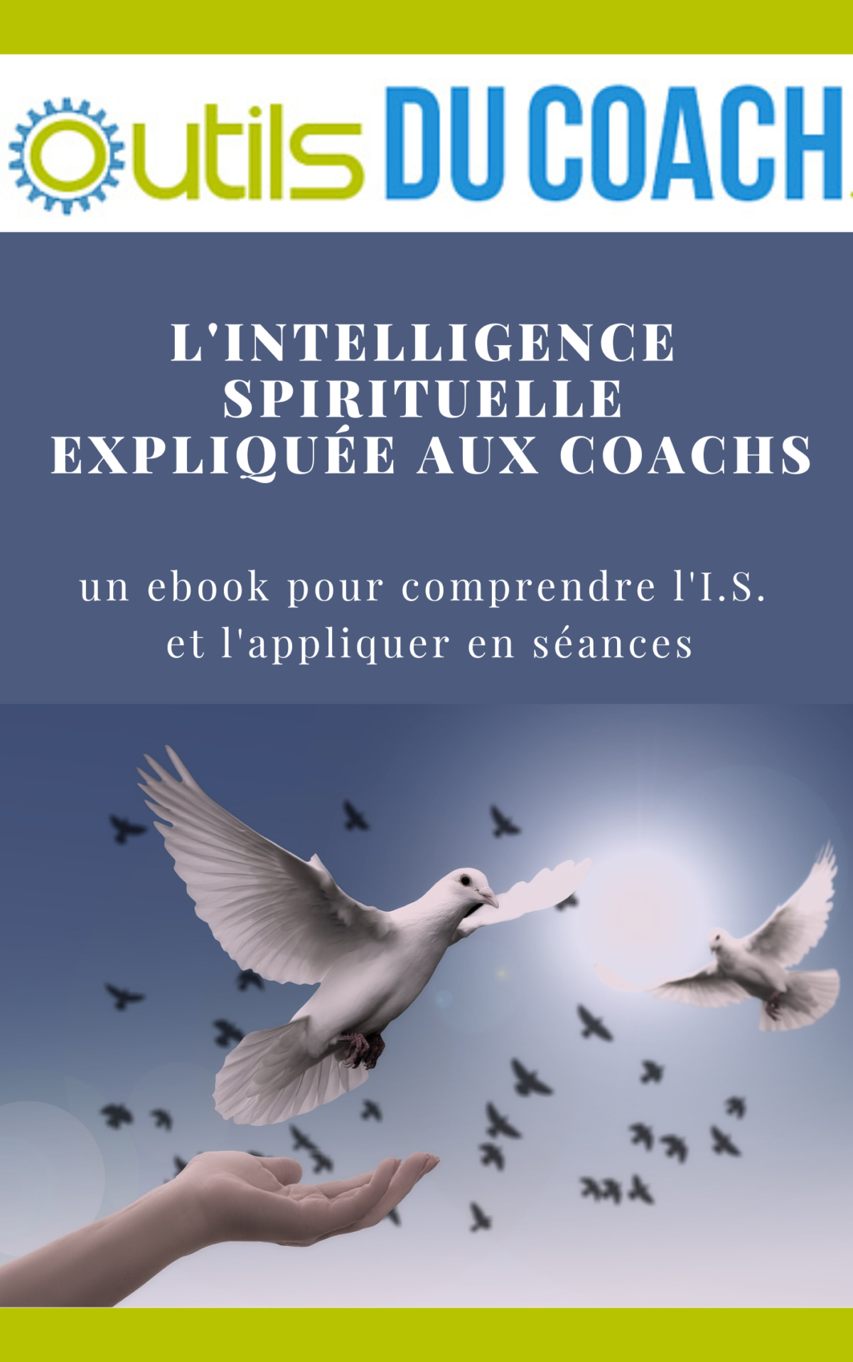 L'intelligence spirituelle expliquée aux coachs - Un Ebook Outils du Coach